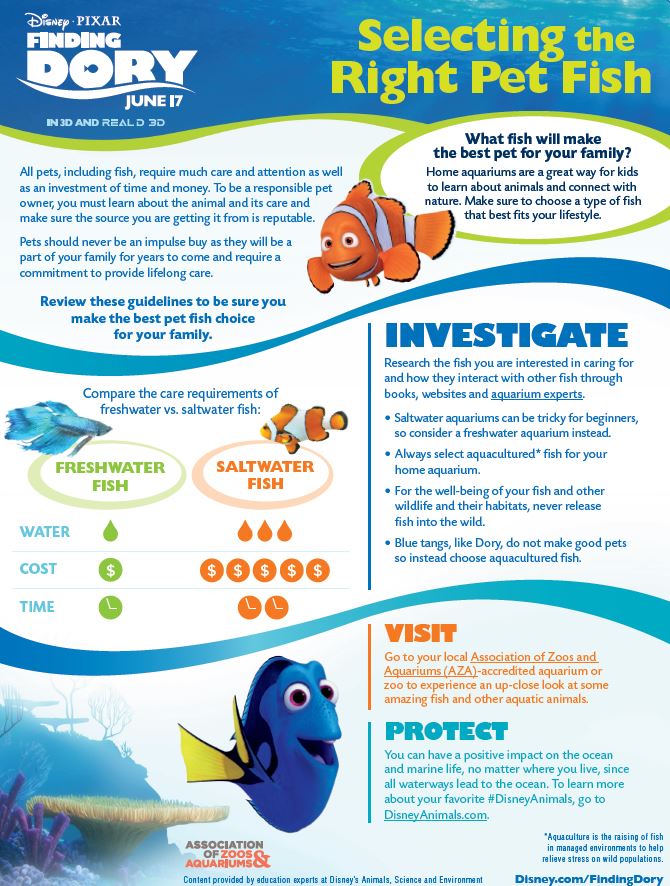 FINDING DORY - Now in Theatres Everywhere!!! #FindingDoryEvent